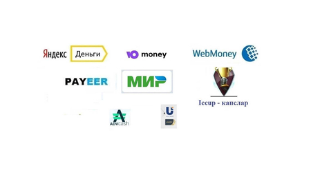 Professional maslahatlar Werbmoney, консультация по Вебмани