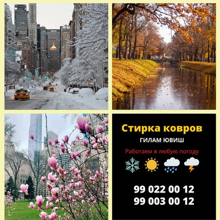 Gilamchi gilam yuvish korxonasi .Компания по чистке ковров.