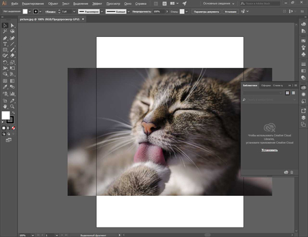 Adobe Illustrator 2023/ Бессрочная активация