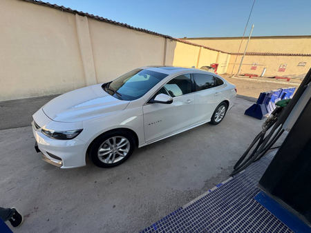 Malibu 2 . 2.4 . Kraska toza