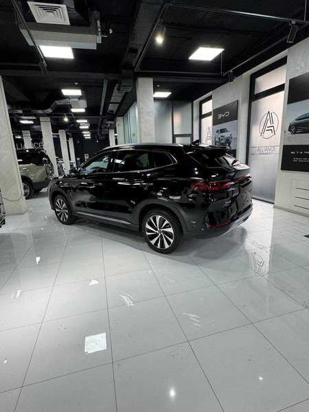 Byd song plus champion 2024