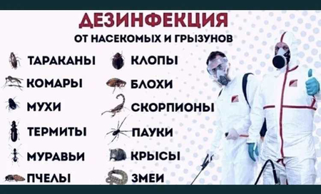 Дезинфекция Против таракан и насекомых