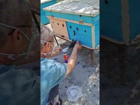 Пал ари уйяси симя пали мен