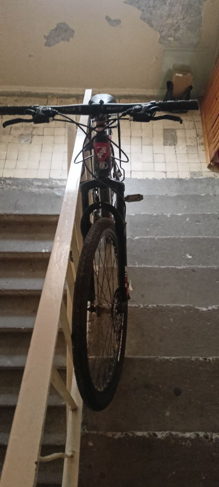 Velosiped skorsnoy