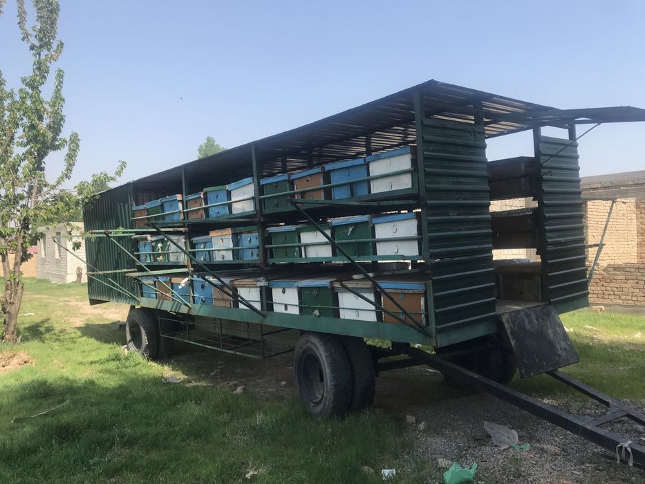 Асал ари прицеп сотилади.