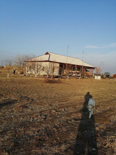 Кўчмас мулк, бўрдоқичилик базаси