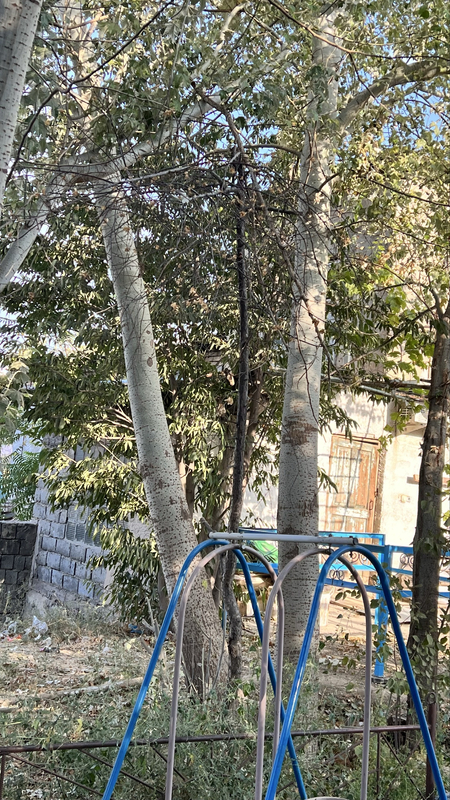 Утин сотаман