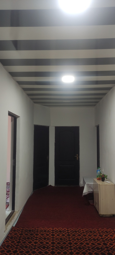 Nazarbeda Pushkinda 4 sotix 5 xona 1 oshxona