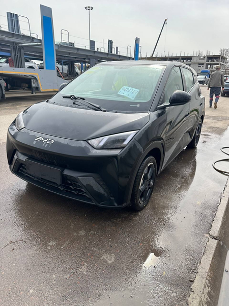 Byd seagull full