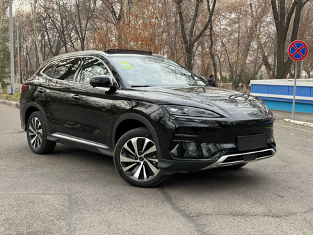 BYD Chempion edition Flagship