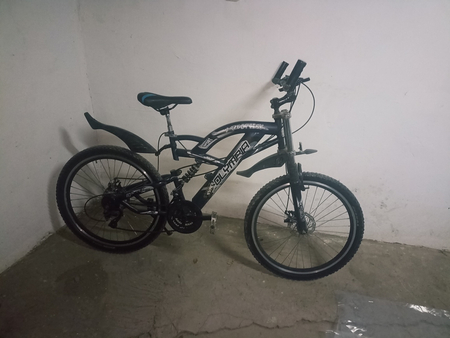 Belik 26 OLYMPIA model