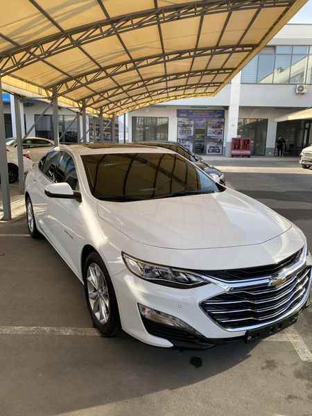 Malibu premier 2020