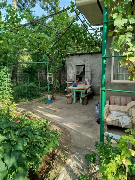 Dala hovli, daca qibrayda