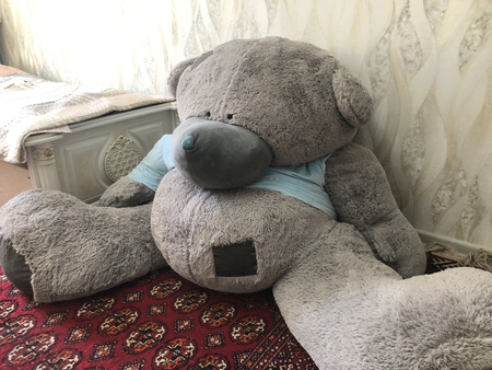 Teddy мишка