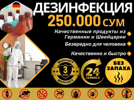Dezenfeksiya Дезинфекция от клопов тараканов dezinfeksiya 24 часа