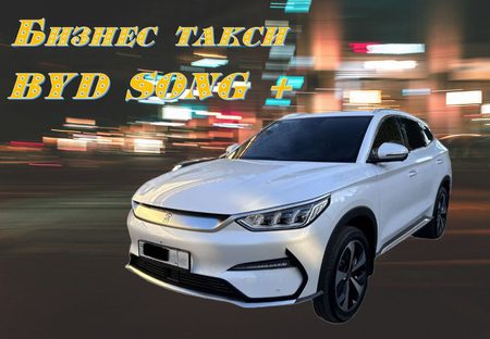 Перевозка пассажиров