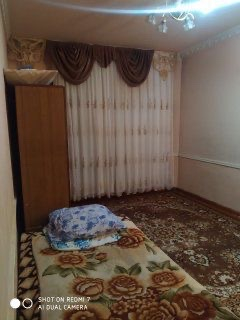 S 981 Qorq qamish 2/4 d a 4/3/4
