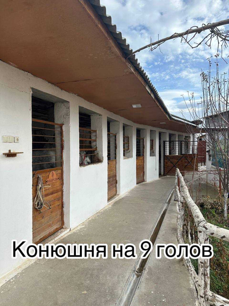 Таер бизнес сотилади!
От хона Продается готовый бизнес!
Конюшня