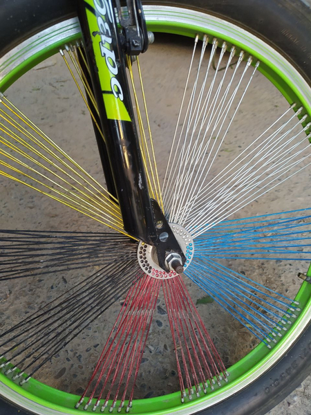 Velosiped, bars yangiday
