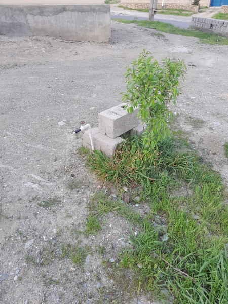 Участка сотилади арзон нархда