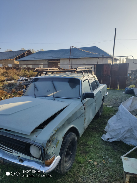 Volga sortiladi soyib sotadiganlar yaxshi pul ishlavoladi