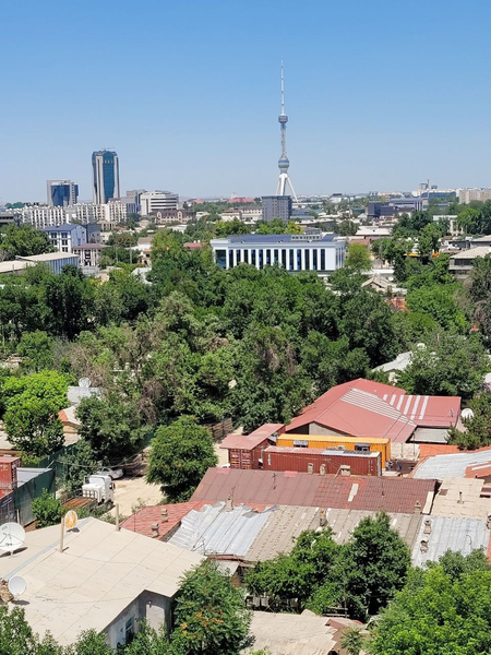 Центр. 2/9/11. Новостройка Премиум класс. 84 м². Алайский. Плюс 4/9/11