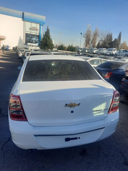Cobalt 2024 yengi salonda
