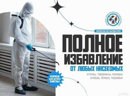 Дезинфекция Dezinfeksiya Дератизация Дезинсекция клопа насекомые