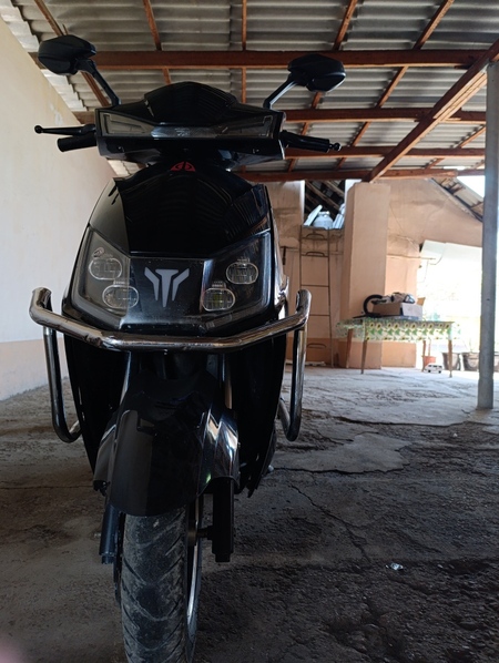 Sukutir alina q 2023
