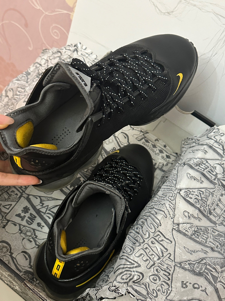 Кроссовки LeBron 19 Low sneakers