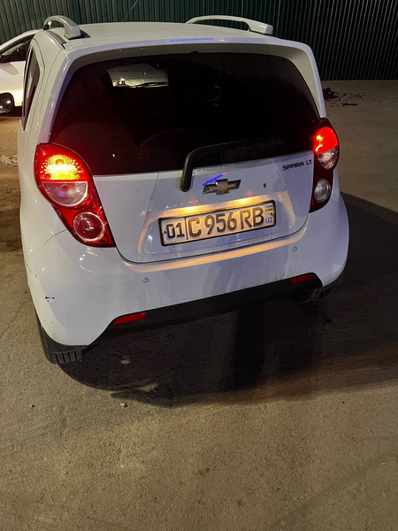 Spark elegant plus