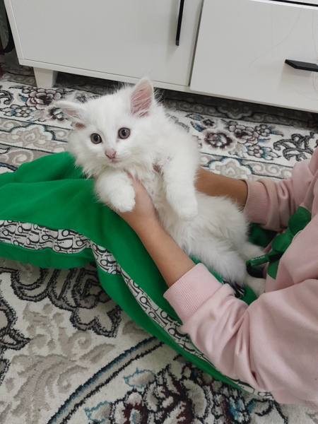 Снежка маленькая