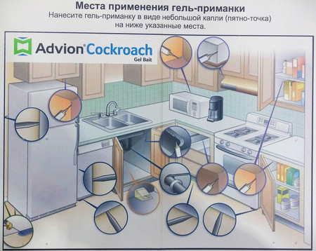 Advion Cockroach tarakan dori