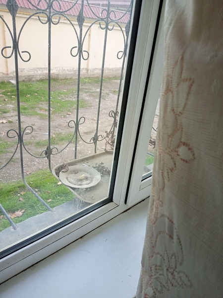 Сдается квартира
