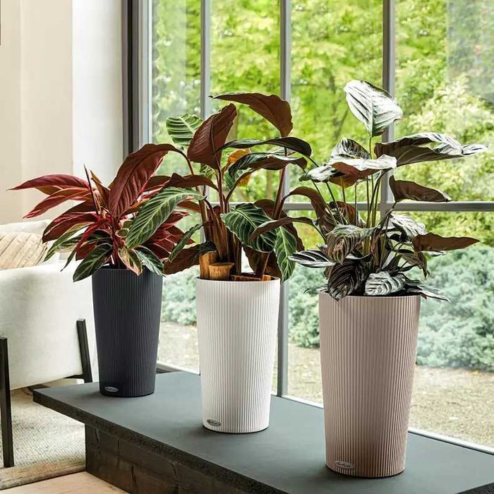 CILINDRO Color 32 white кашпо lechuza