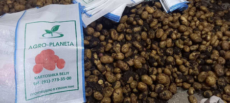 Kartoshka Optom Piyoz