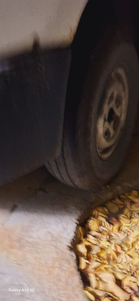 Ford sotiladi srochni