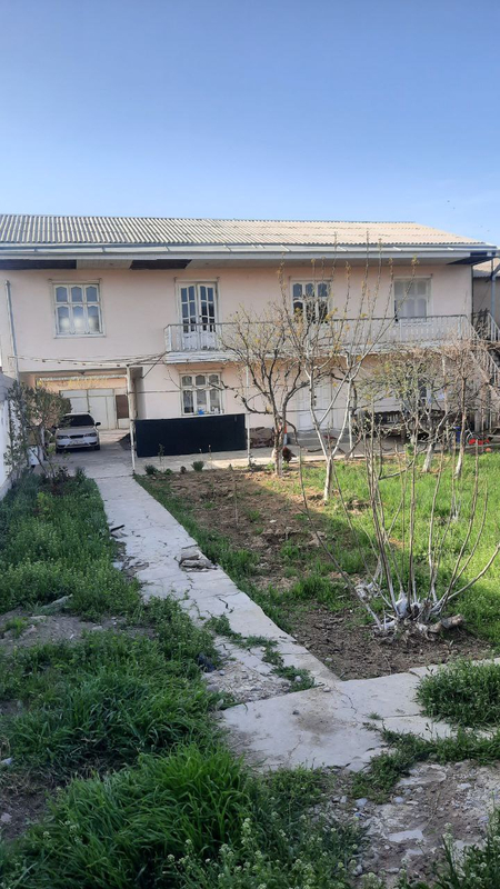 Кибрай узумзар. Продаю или обменяю