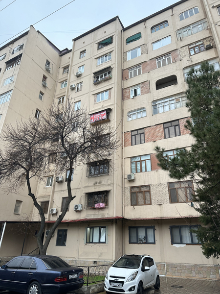 IbnSino 1 dom 20 kv 54