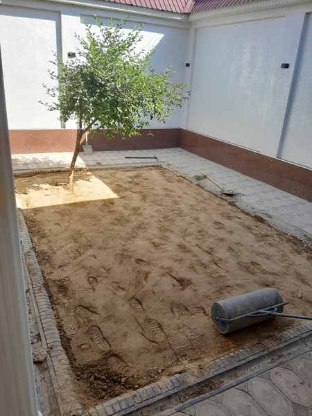 Sifatli gazon ekamiz