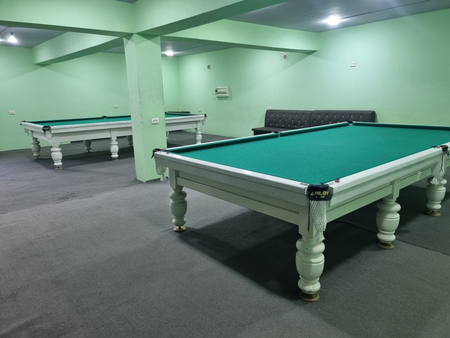 Riley billiard 2 dona rangi oq
