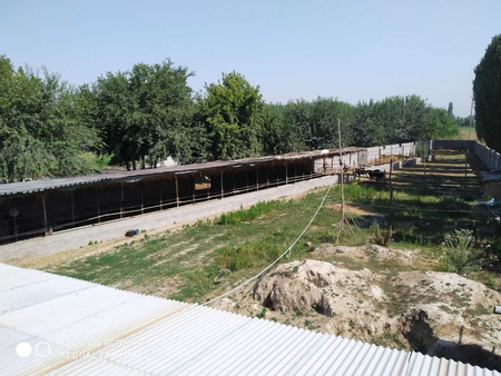 Ferma Turar joylari bilan