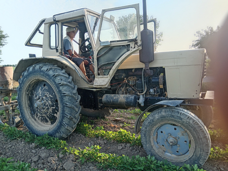 Belarus traktor mtz 80.1 sotiladi