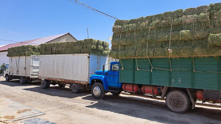 Zil 130giya metan