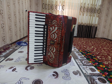 Аккардион Каприга сотилади