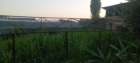 Issiqxona Tomorqa