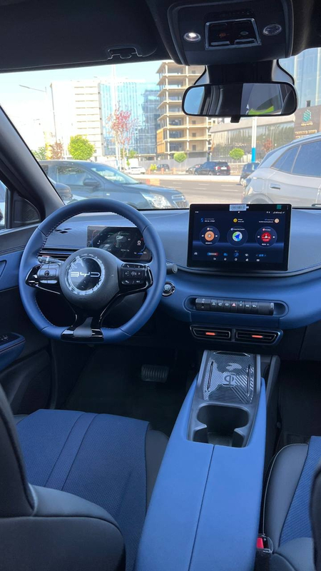 BYD Seagull flying edition 405km
