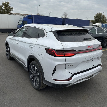 BYD Chempion (2025 Restling)