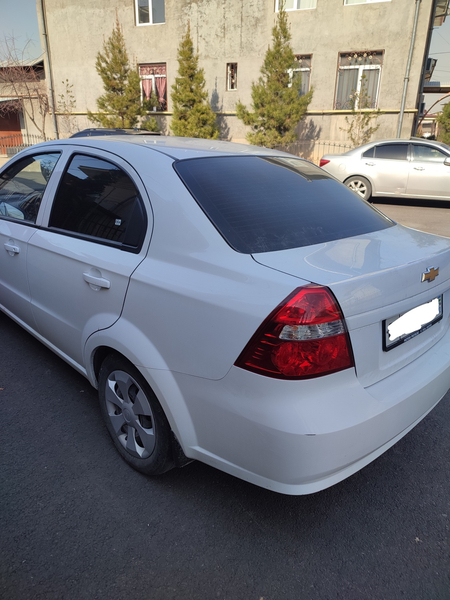 Nexia 3 Kraska Toza