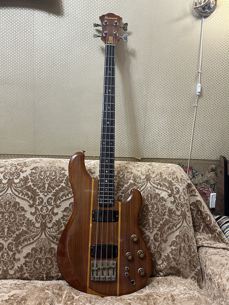 INSNEZ Studio Bass ( Японец )